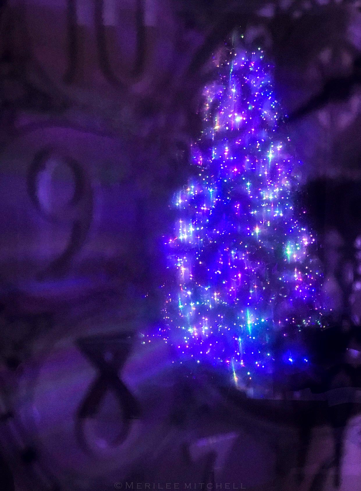 Winter Solstice - The Gravel Ghost